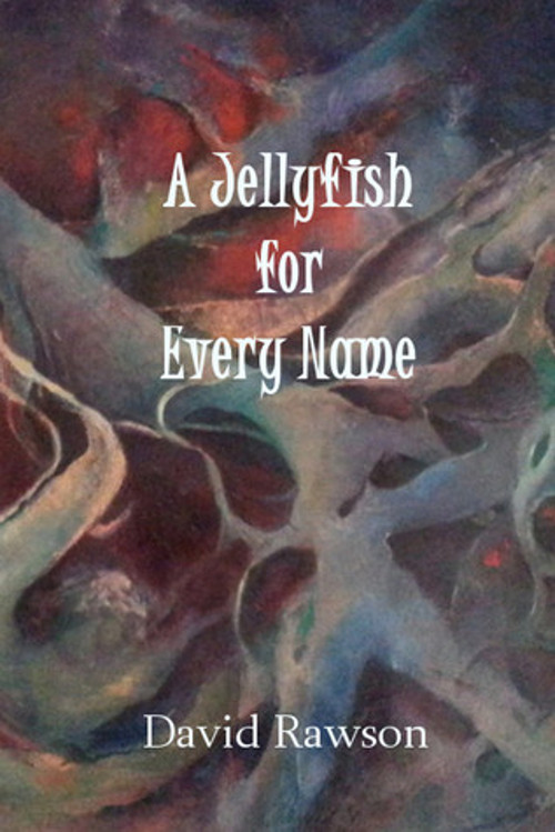 Fiction Review: Mercedes Lucero on A Jellyfish for Every Name by David ...