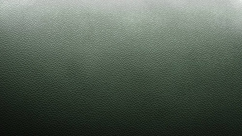 Two Poems by Kailey Alyssa – Heavy Feather Review