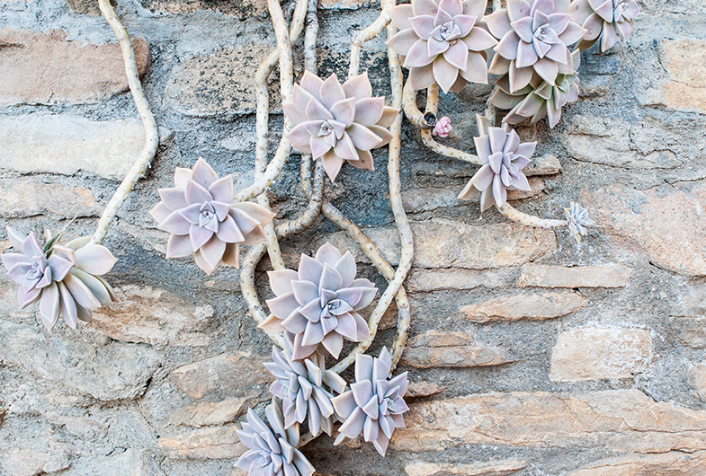 Four Poems for Haunted Passages: Violet Mitchell – Heavy Feather Review