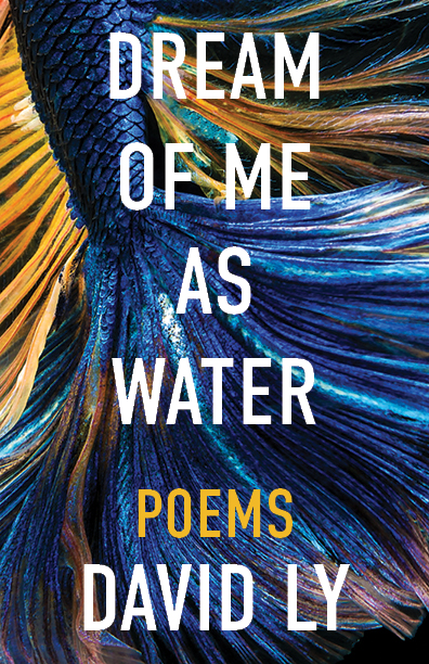Dream of Me as Water, a poetry collection by David Ly, reviewed by ...