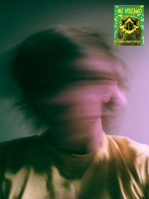 John Elizabeth Stintzi in Conversation with Cameron Finch about My ...