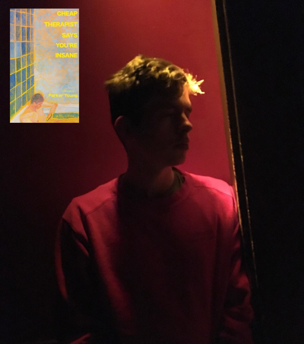 Interview with Parker Young, Author of Cheap Therapist Says You’re Insane, by Sam Heaps – Heavy ...