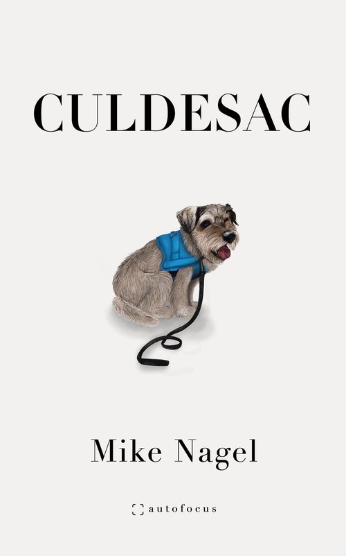 Nonfiction Review: Alex Gurtis Reads Mike Nagel’s Post-Capitalist ...