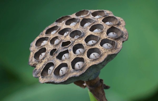 Howie Good: Four Prose Poems for Haunted Passages – Heavy Feather Review