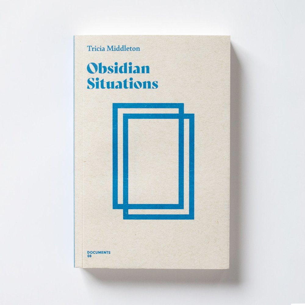 Book Excerpt: Three from Tricia Middleton’s Novel-in-Verse Obsidian ...